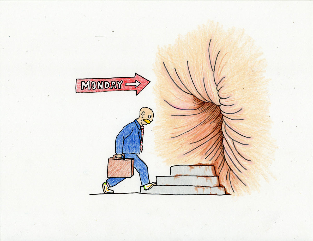 A BRAND NEW MONDAY – POROUS WALKER