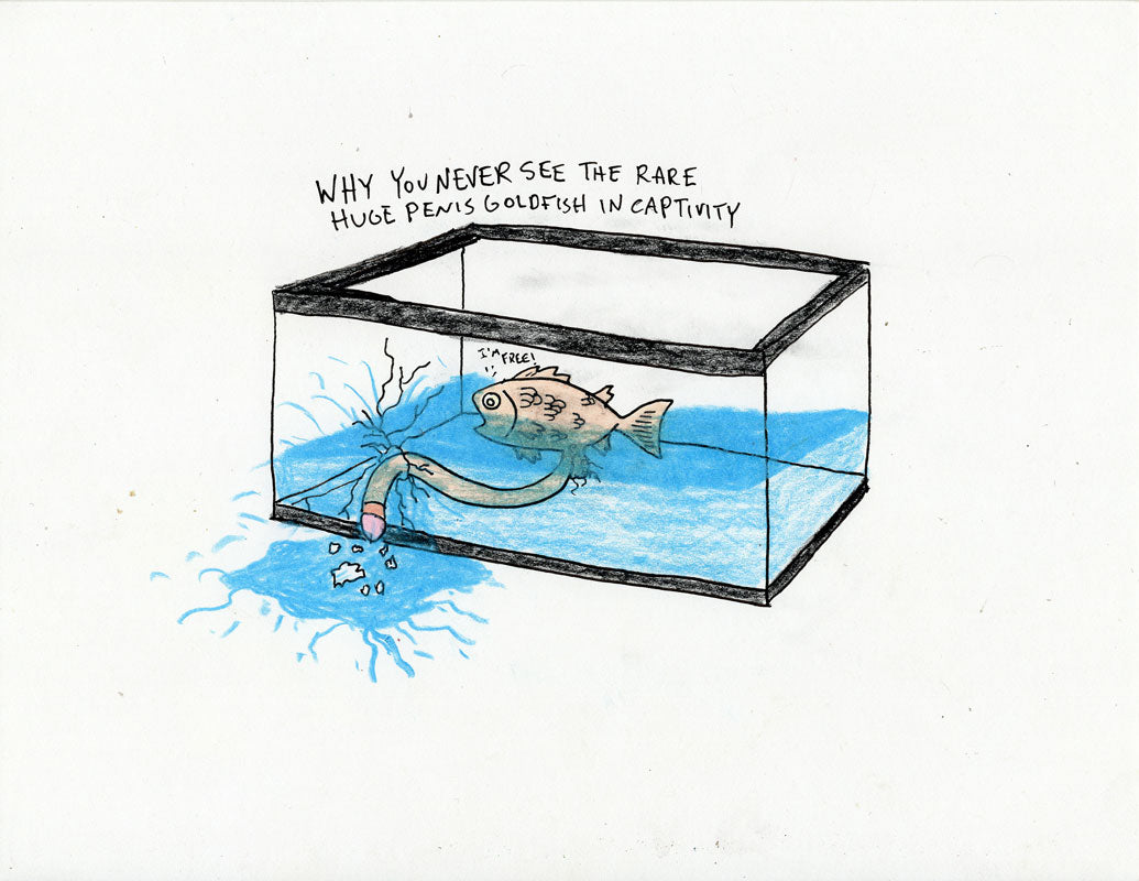 HUGEPENIS GOLDFISH – POROUS WALKER