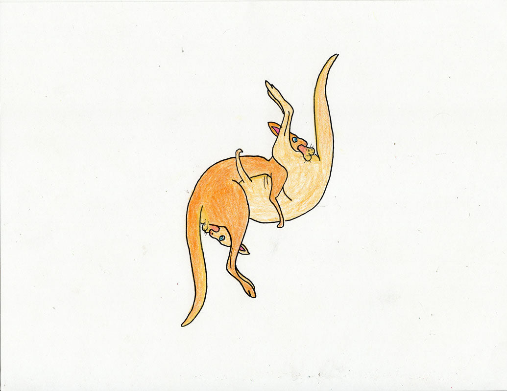 AUSTRALIA – POROUS WALKER